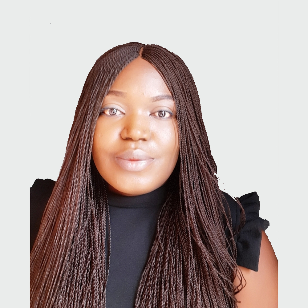2019 NSIG Fellows - Nigerian School on Internet Governance